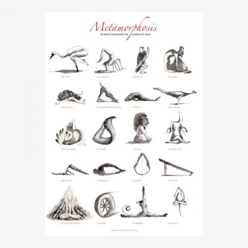 Metamorphosis Poster - Tara Books