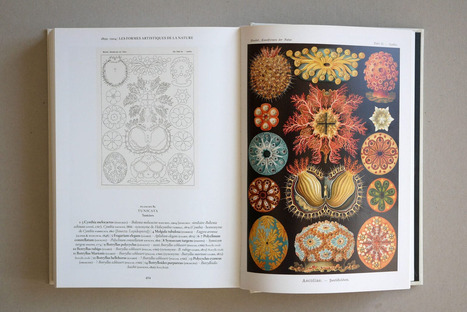 Hidden Threads: Making A Stitch Out of Time - Tara Books