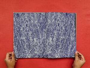 Hidden Threads: Making A Stitch Out of Time - Tara Books